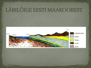 1. tund pinnamood | PPT