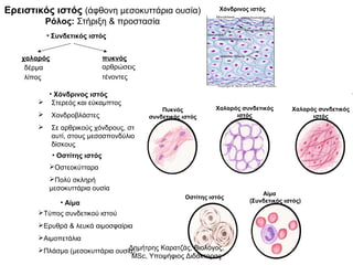 Μάθημα: Βιολογία. Α' Λυκείου. 1ο Κεφ.-Σημειώσεις σχολικού βιβλίου | PPT