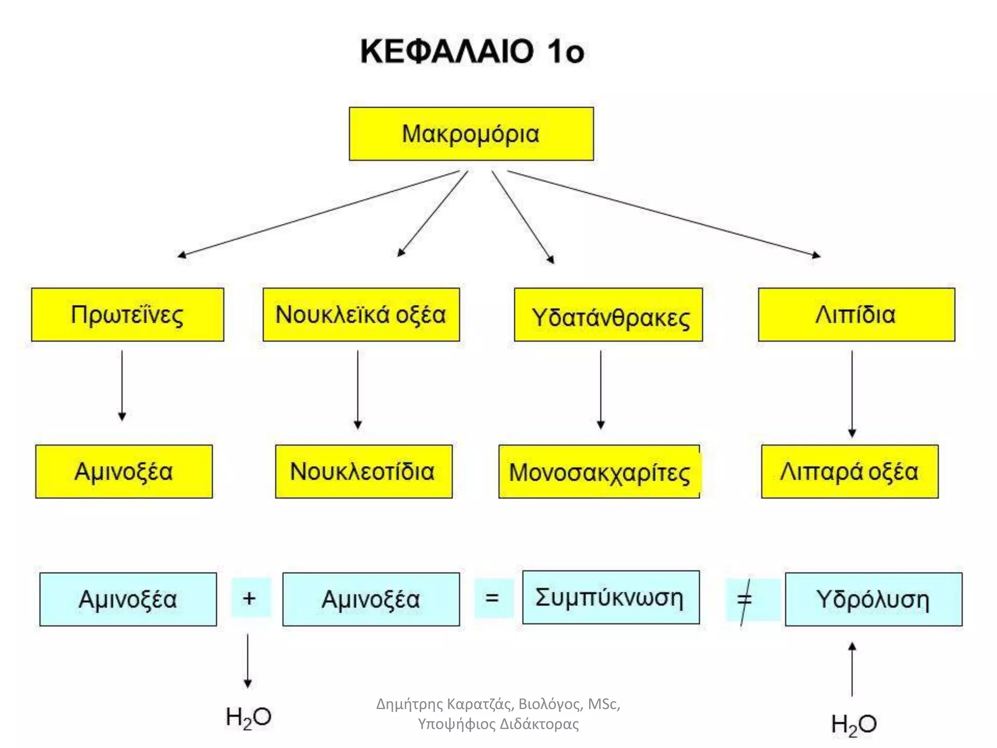 Μάθημα: Βιολογία. Β' Λυκείου. 1ο Κεφ.-Σημειώσεις σχολικού βιβλίου | PPTX