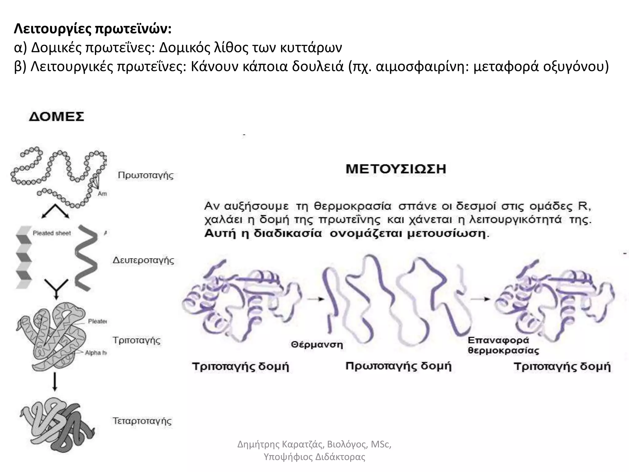 Μάθημα: Βιολογία. Β' Λυκείου. 1ο Κεφ.-Σημειώσεις σχολικού βιβλίου | PPTX