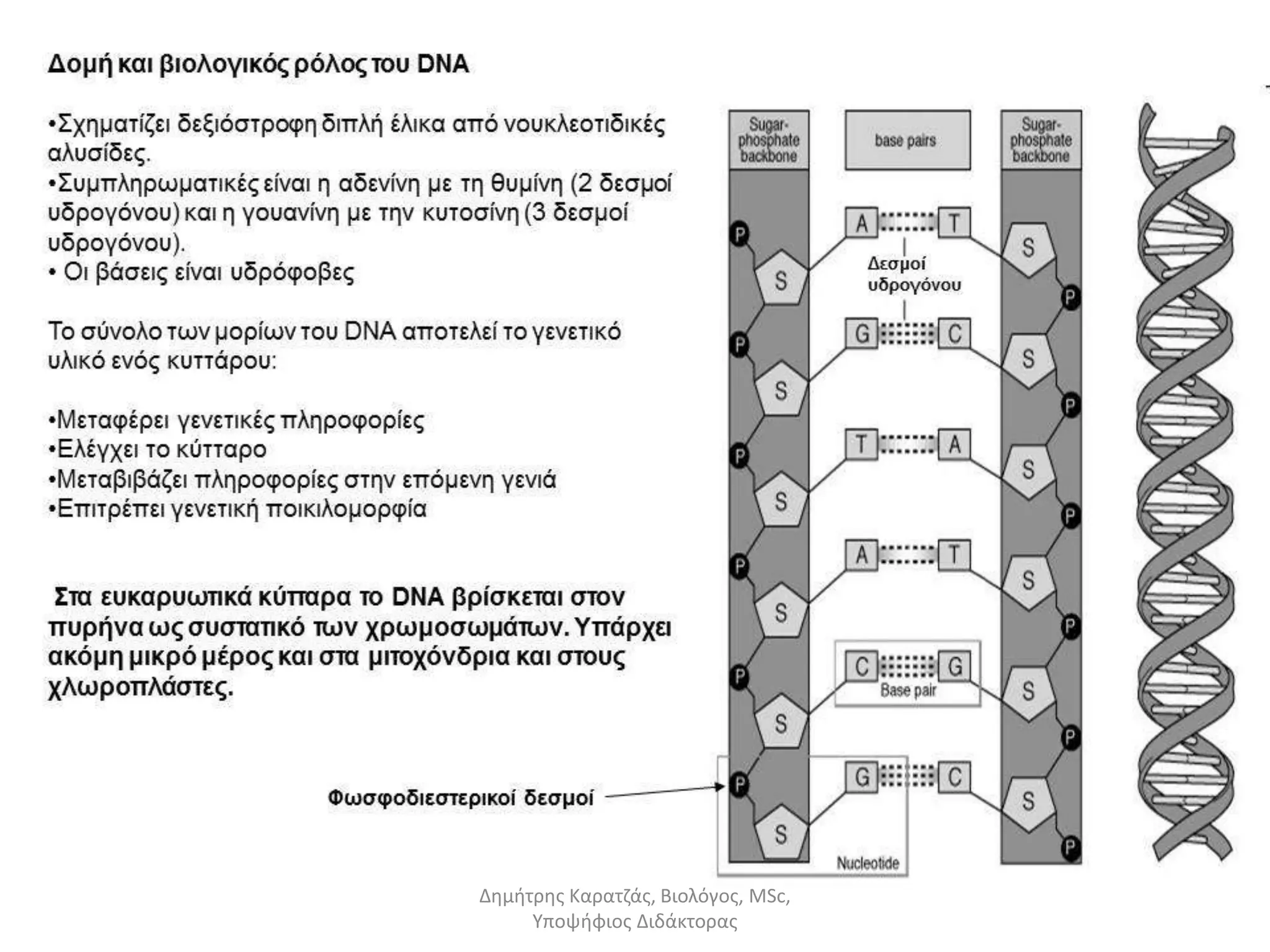 Μάθημα: Βιολογία. Β' Λυκείου. 1ο Κεφ.-Σημειώσεις σχολικού βιβλίου | PPTX