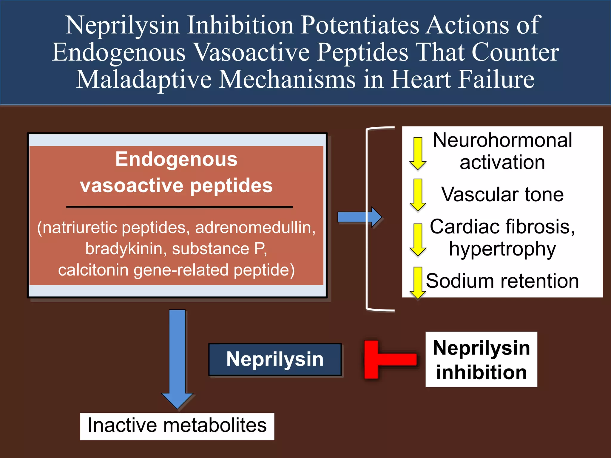 PARADIGM HF TRIAL | PPTX
