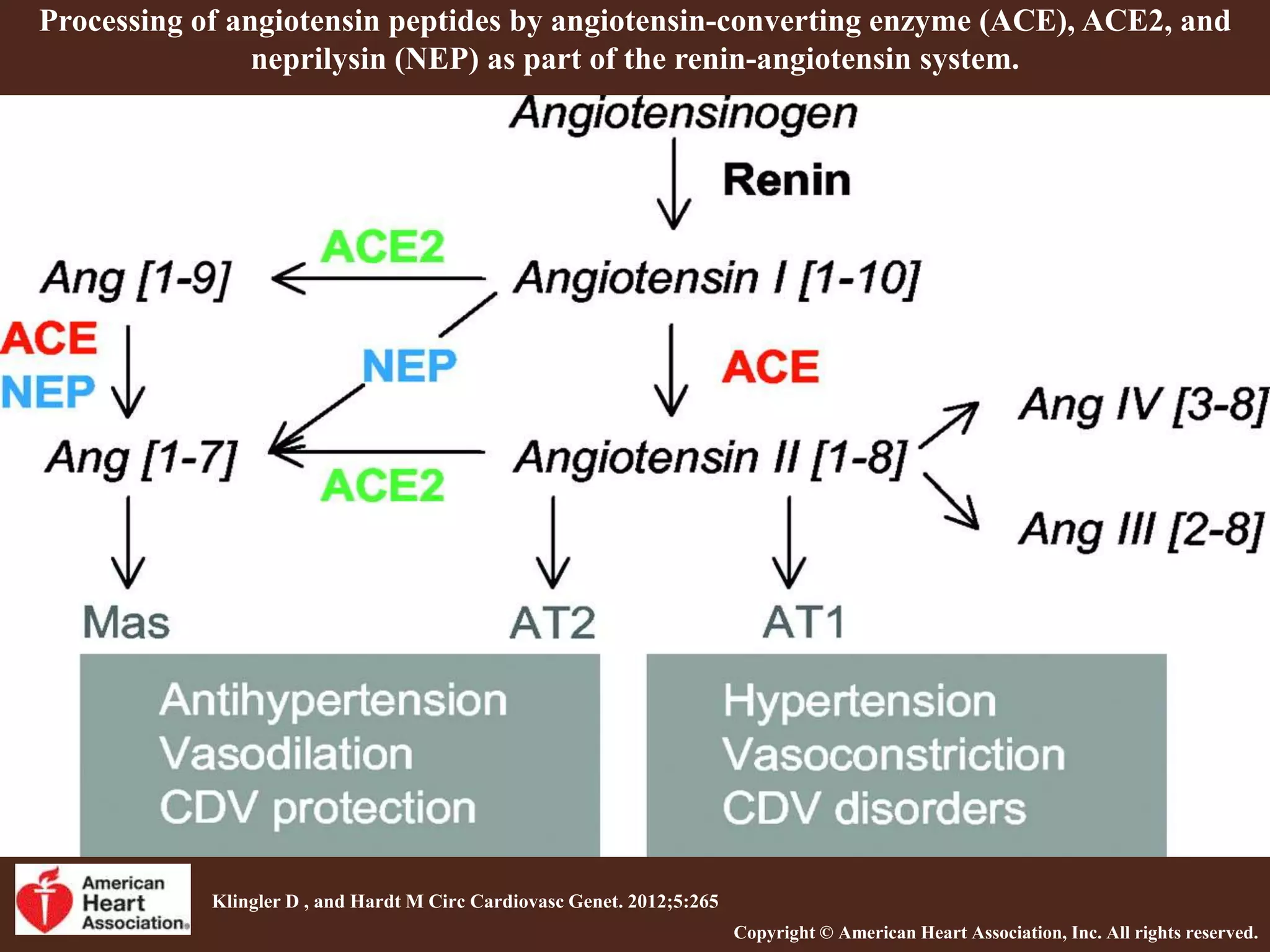 PARADIGM HF TRIAL | PPTX