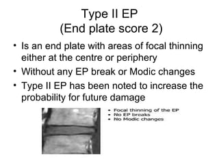 End plate damage score (SPINE 2010) | PPT