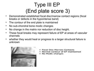 End plate damage score (SPINE 2010) | PPT