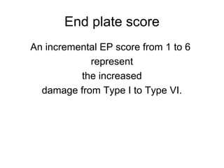 End plate damage score (SPINE 2010) | PPT