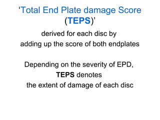 End plate damage score (SPINE 2010) | PPT