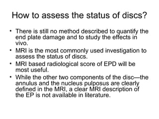 End plate damage score (SPINE 2010) | PPT