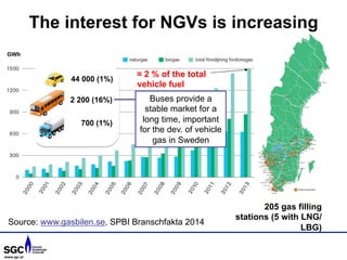 Technical development of biomethane from gasification and biogas with ...