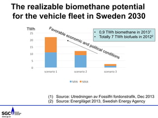 Technical development of biomethane from gasification and biogas with ...