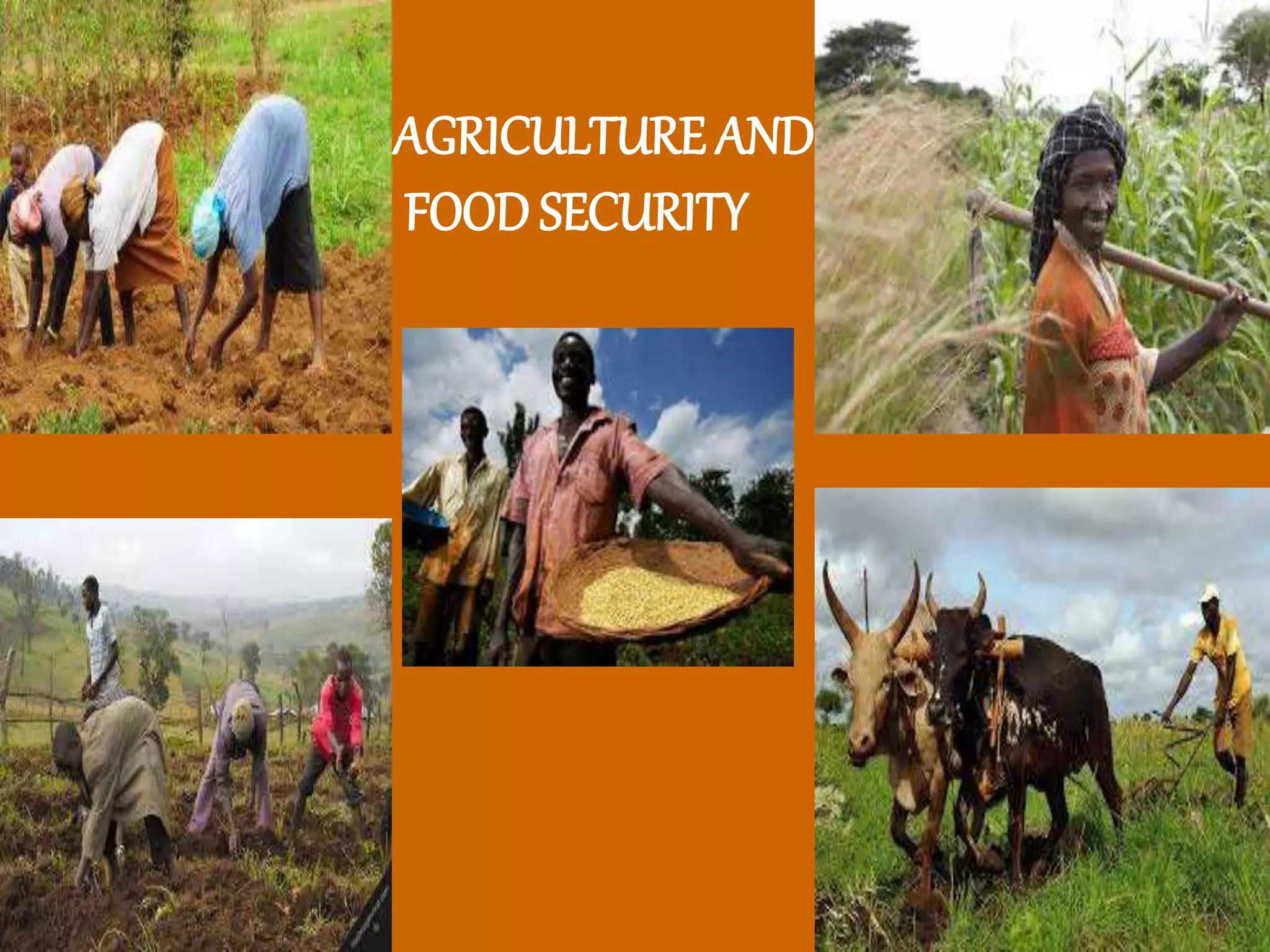 ENHANCING FOOD SECURITY IN URBAN AREAS | PPTX