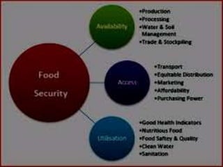 ENHANCING FOOD SECURITY IN URBAN AREAS | PPTX