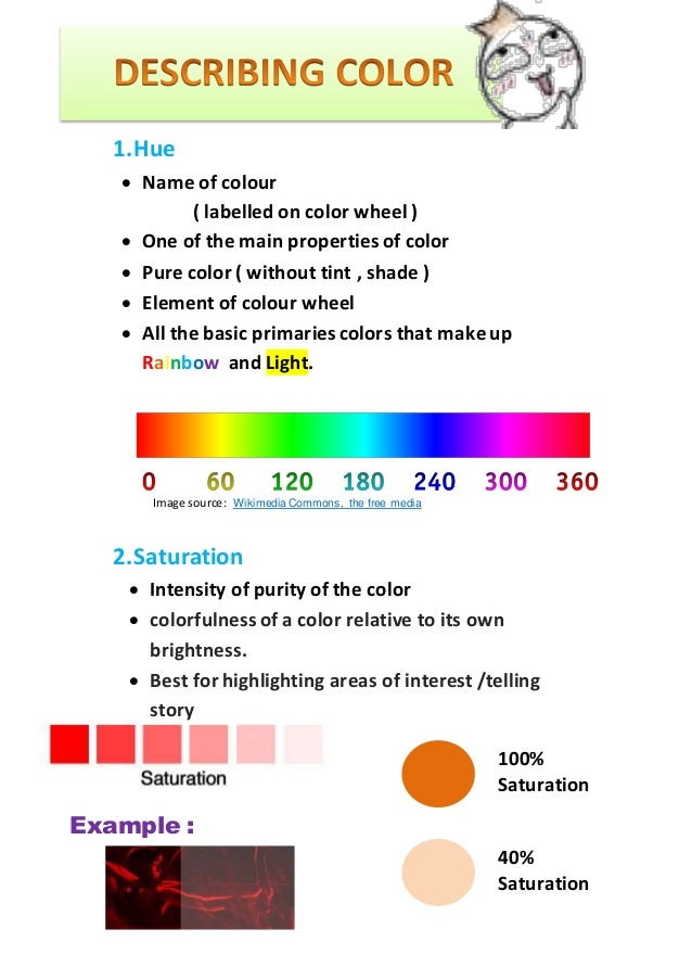 Color Study Final Assignment Part 1