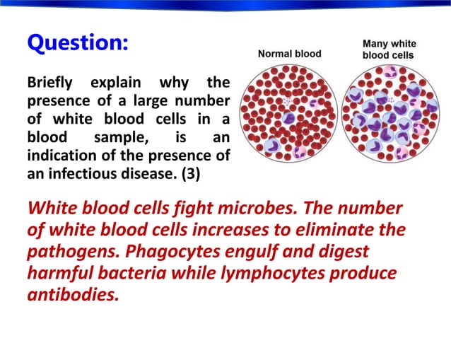 Biology Form 5 Chapter 1 : 1.1 -1.4 | PPTX