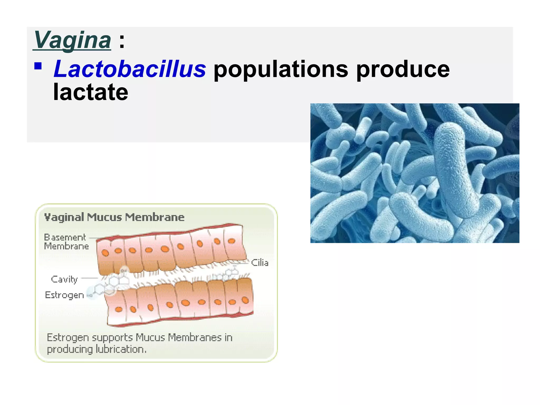 BIOLOGY FORM 5 CHAPTER 1 - 1.5 BODY DEFENCE MECHANISM | PPT
