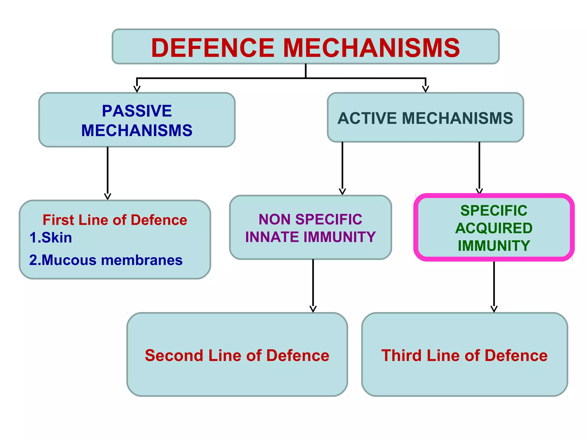 BIOLOGY FORM 5 CHAPTER 1 - 1.5 BODY DEFENCE MECHANISM | PPT