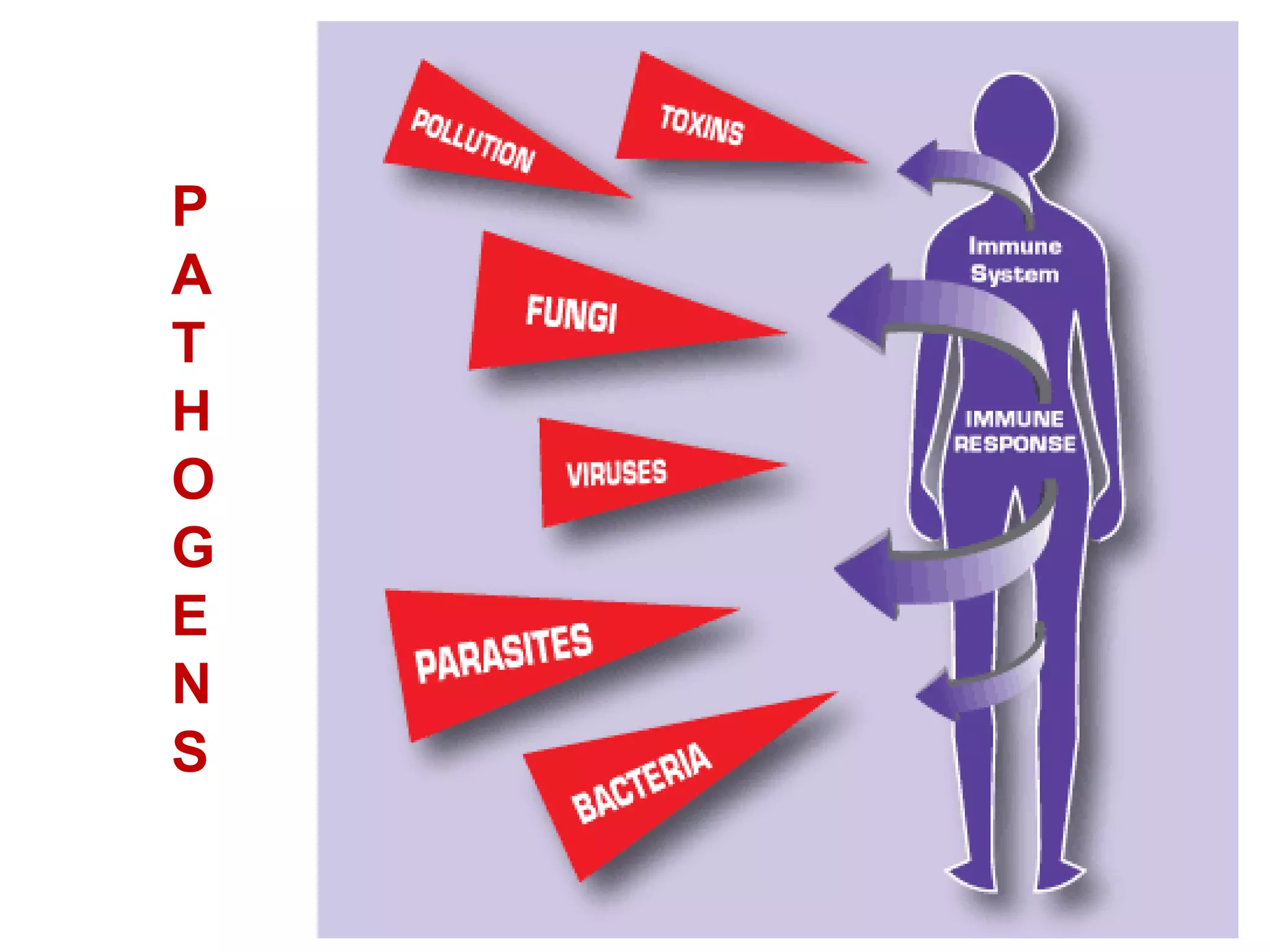 BIOLOGY FORM 5 CHAPTER 1 - 1.5 BODY DEFENCE MECHANISM | PPT