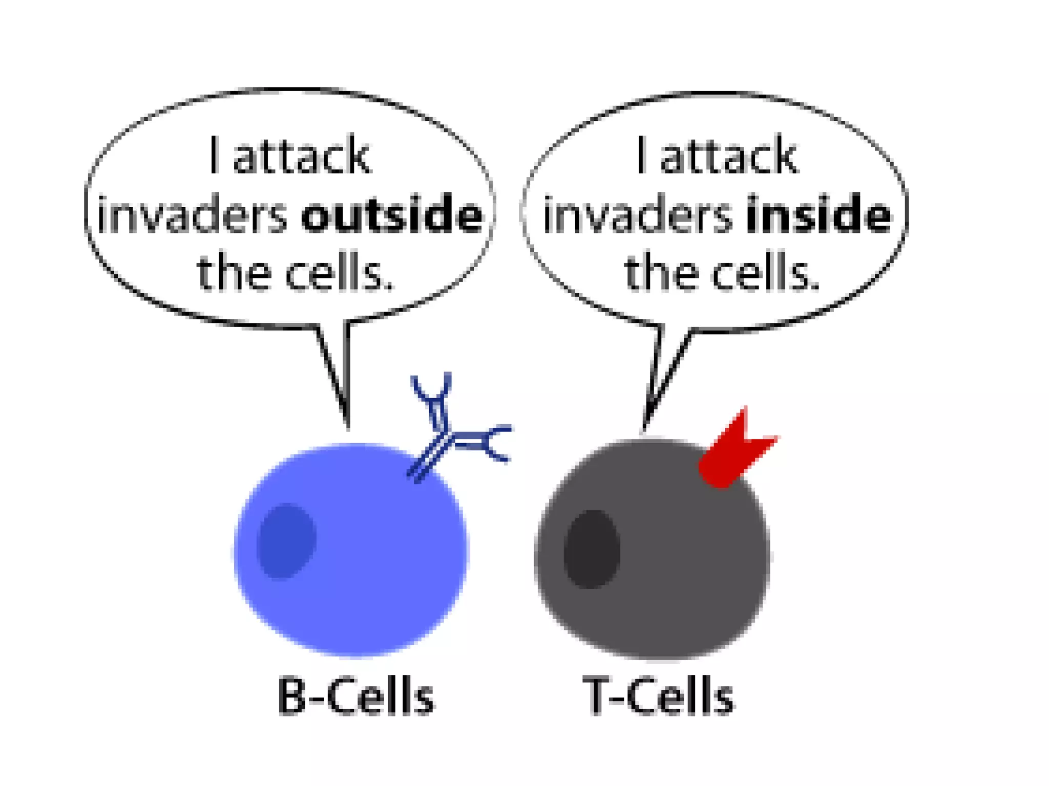 BIOLOGY FORM 5 CHAPTER 1 - 1.5 BODY DEFENCE MECHANISM | PPT