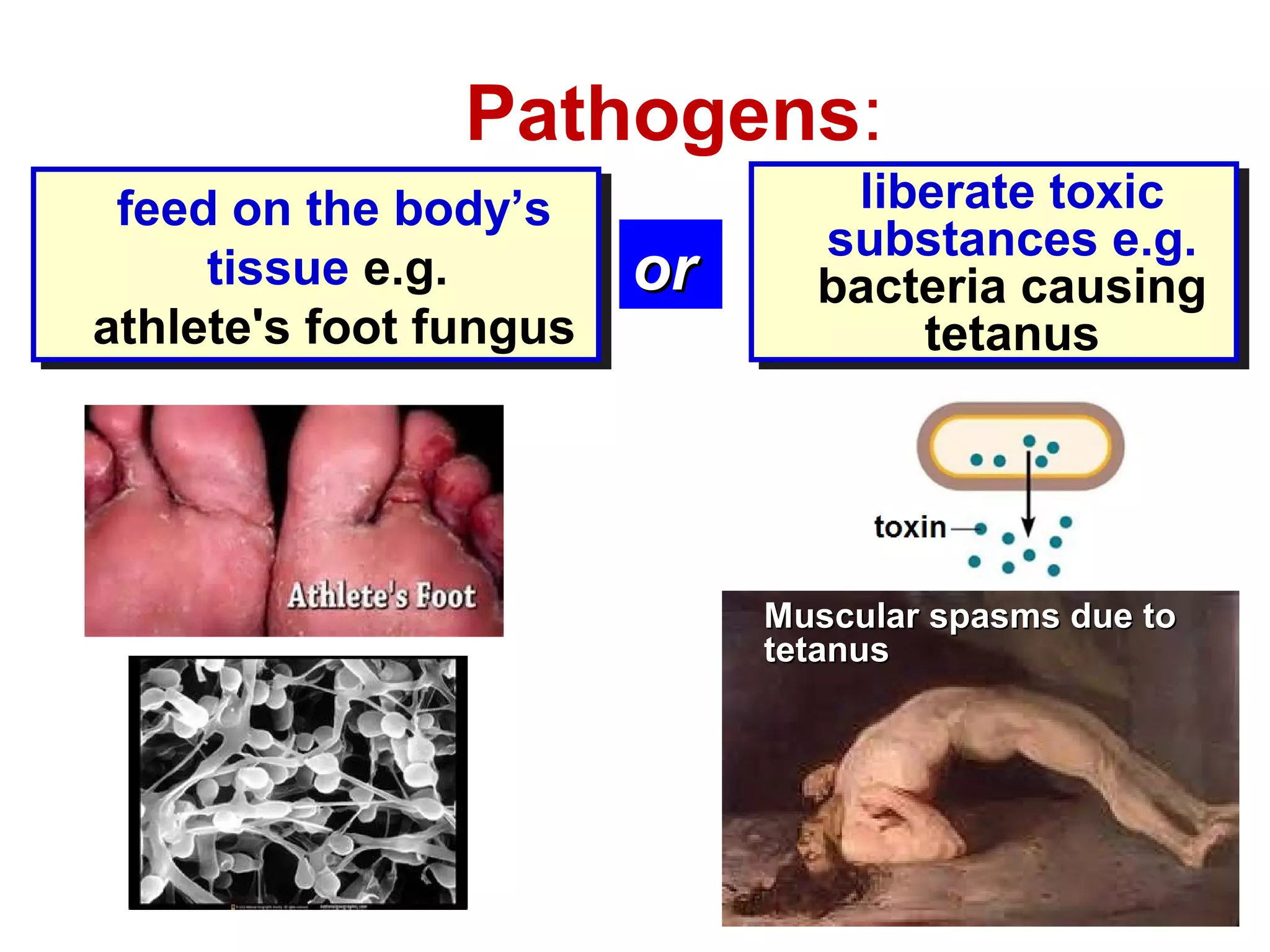 BIOLOGY FORM 5 CHAPTER 1 - 1.5 BODY DEFENCE MECHANISM | PPT