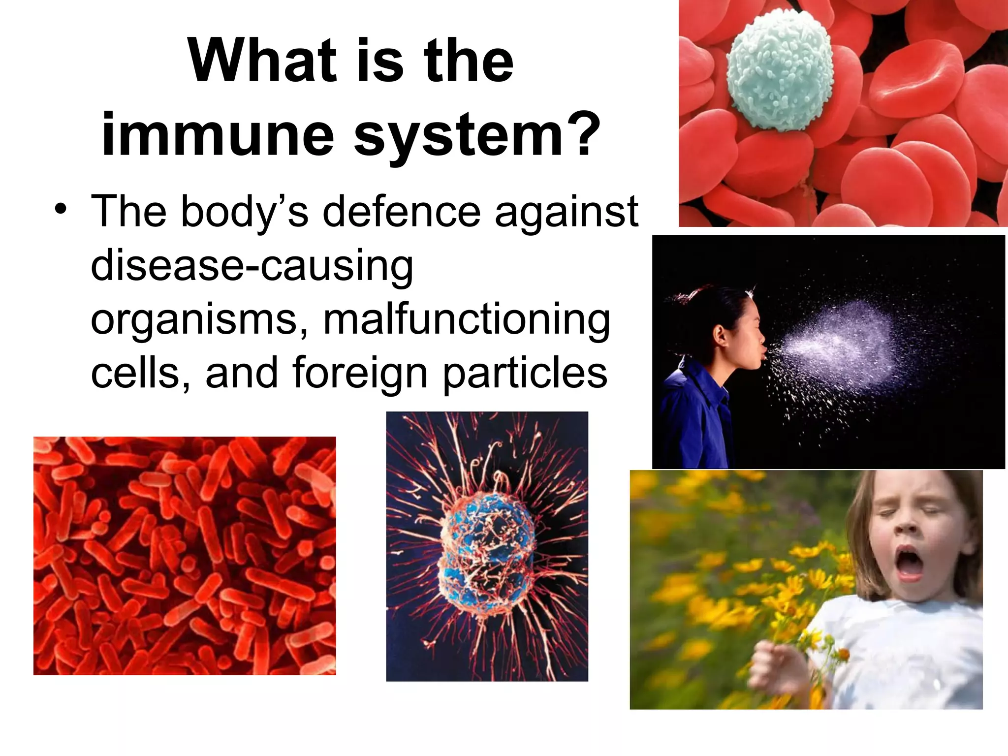 BIOLOGY FORM 5 CHAPTER 1 - 1.5 BODY DEFENCE MECHANISM | PPT