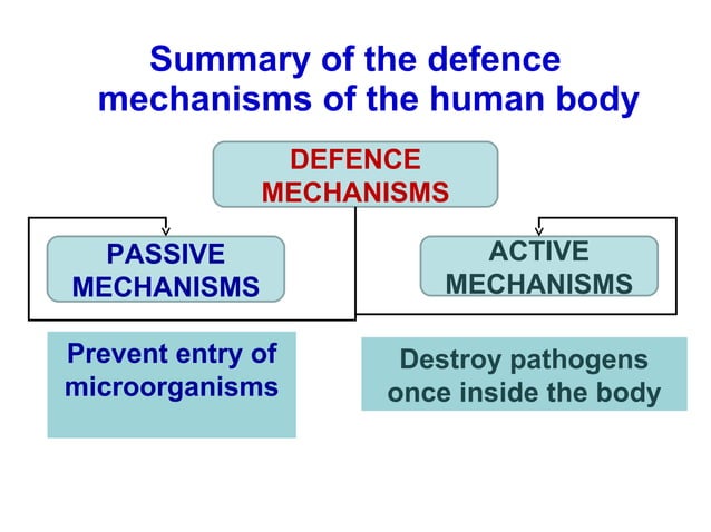BIOLOGY FORM 5 CHAPTER 1 - 1.5 BODY DEFENCE MECHANISM | PPT | Skin and ...