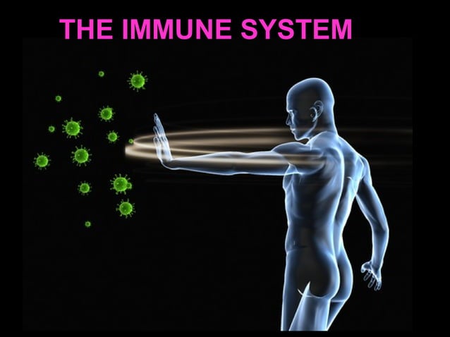 BIOLOGY FORM 5 CHAPTER 1 - 1.5 BODY DEFENCE MECHANISM | PPT | Skin and ...