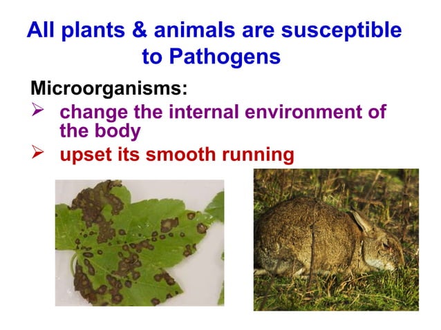 BIOLOGY FORM 5 CHAPTER 1 - 1.5 BODY DEFENCE MECHANISM | PPT | Skin and ...