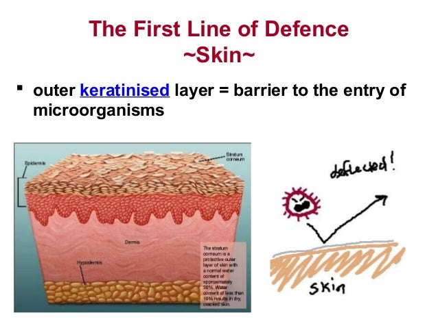 BIOLOGY FORM 5 CHAPTER 1 - 1.5 BODY DEFENCE MECHANISM