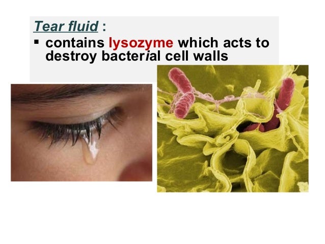 BIOLOGY FORM 5 CHAPTER 1 - 1.5 BODY DEFENCE MECHANISM