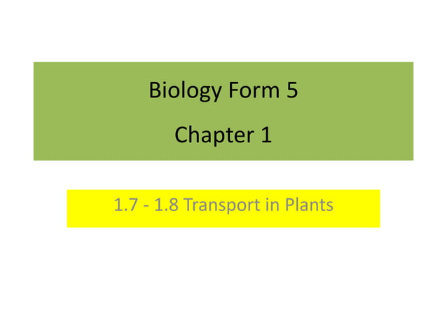 Biology Form 5 Chapter 1 : 1.7- 1.8 transport in plants | PPTX