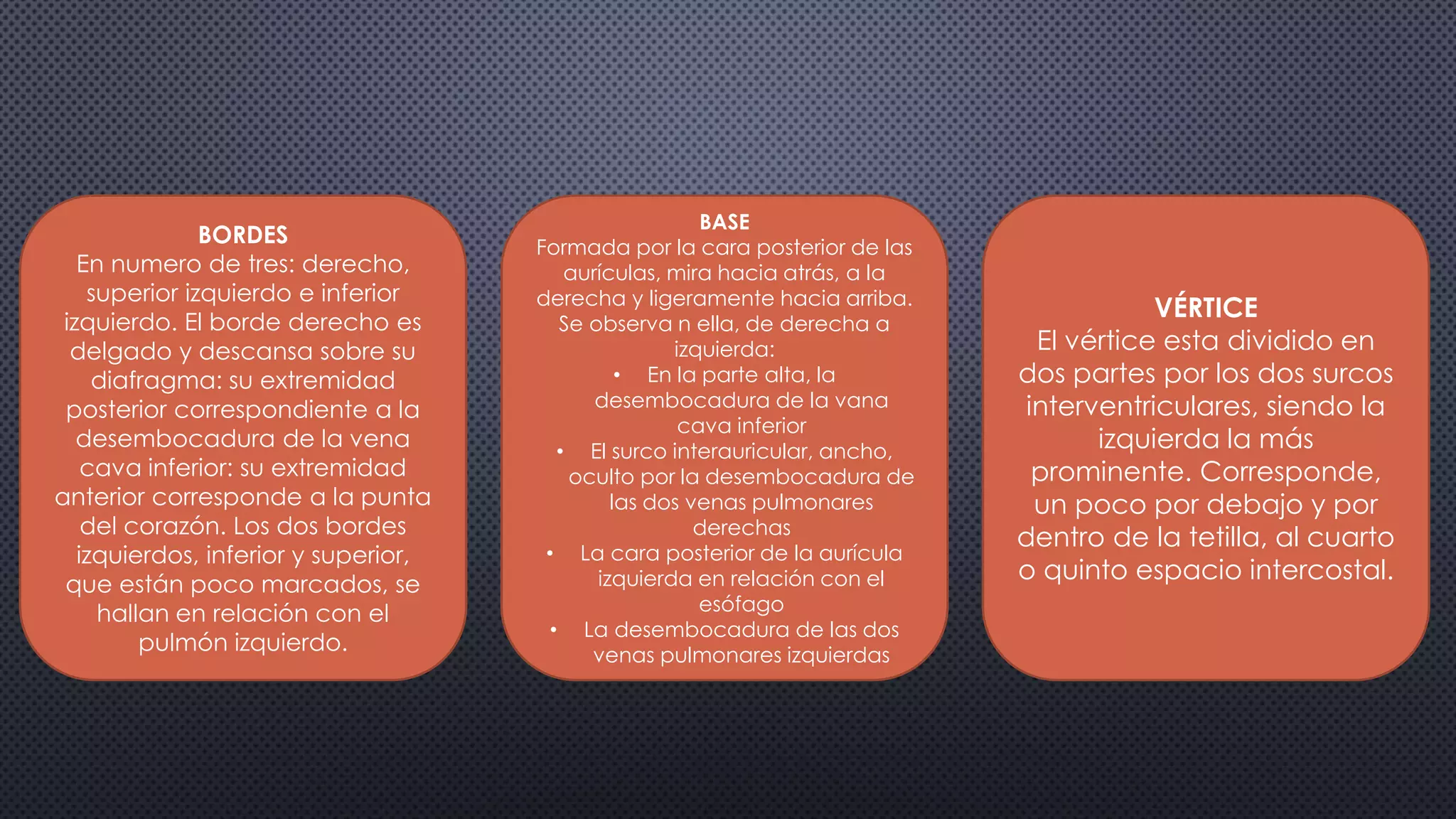 Anatomia del Corazón (Principales estructuras) | PPT