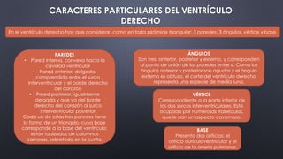 Anatomia del Corazón (Principales estructuras) | PPTX
