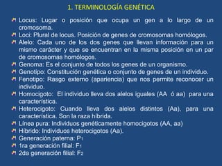 GENETICA | PPT