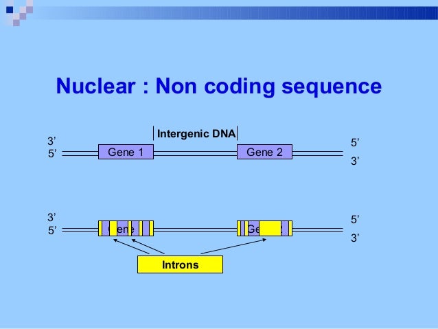 1 Dna In Forensic 