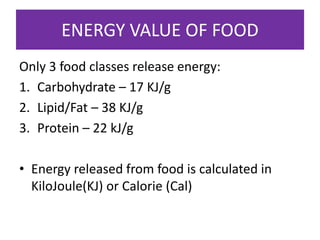 Calorie In Biology