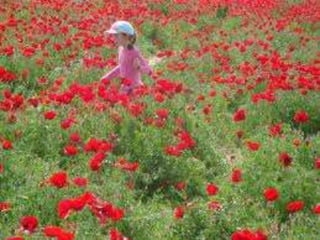 "ΤΑ ΚΑΓΚΕΛΑ" ΚΩΣΤΟΥΛΑ ΜΗΤΡΟΠΟΥΛΟΥ | PPTX