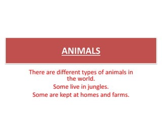 1.animals | PPTX