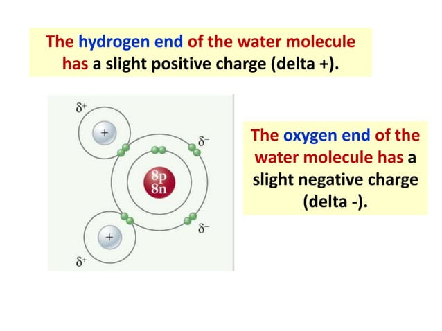 BIOLOGY FORM 4 CHAPTER 4 - CHEMICAL COMPOSITION OF THE CELL PART 1 | PPT