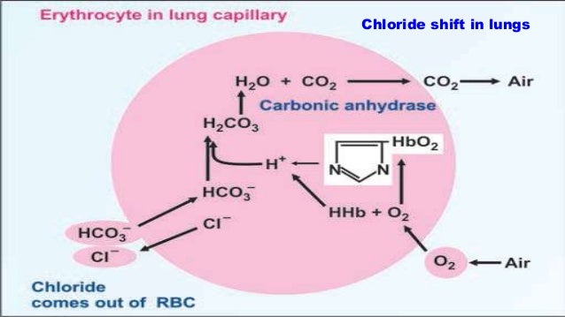 HEME CHEMISTRY