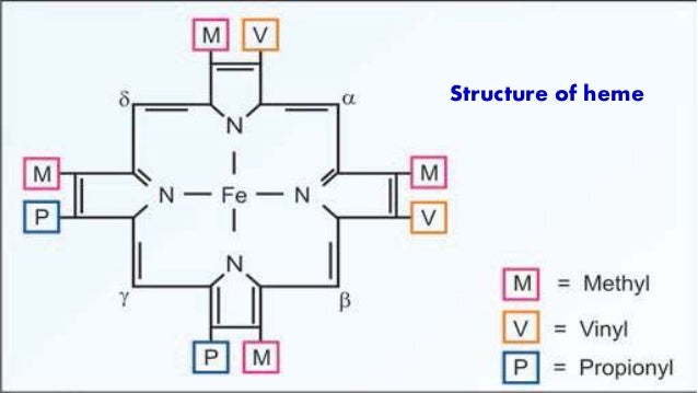 HEME CHEMISTRY