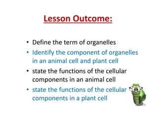 BIOLOGY FORM 4 CHAPTER 2 PART 1 - CELL STRUCTURE | PPTX