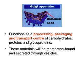 BIOLOGY FORM 4 CHAPTER 2 PART 1 - CELL STRUCTURE | PPTX