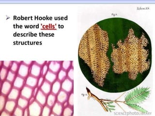 BIOLOGY FORM 4 CHAPTER 2 PART 1 - CELL STRUCTURE | PPT