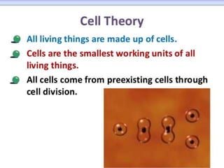 BIOLOGY FORM 4 CHAPTER 2 PART 1 - CELL STRUCTURE | PPT