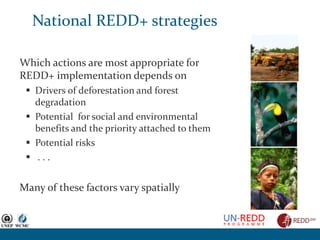 Using Spatial Information to support decision making in national REDD+ ...