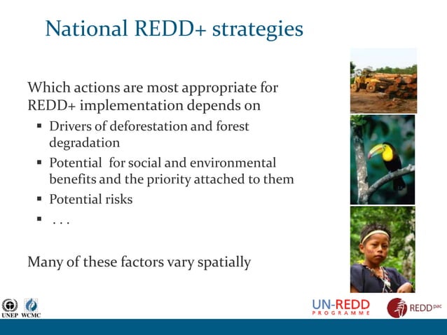 Using Spatial Information to support decision making in national REDD+ ...