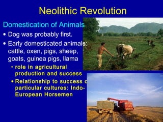 Neolithic Revolution Domestication Of Animals