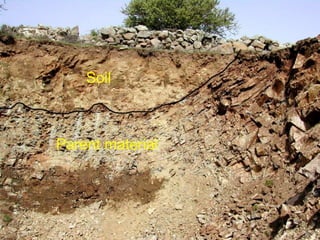 1. mekanika tanah 1 | PPTX