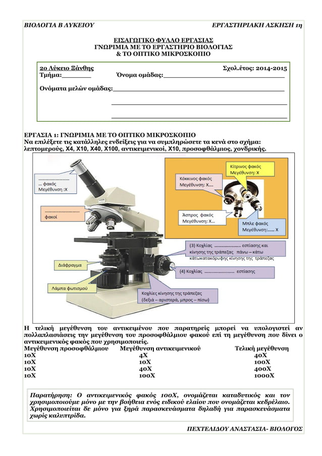 1η εργαστ.άσκηση Β ΛΥΚΕΙΟΥ: γνωριμία με το μικροσκόπιο | PDF