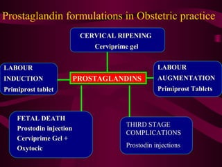 1. prostaglandins in labour dr rabi | PPT